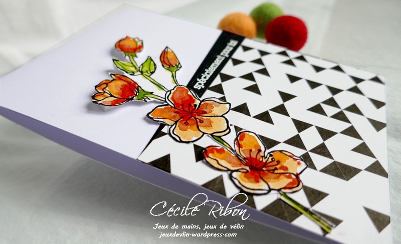 Color Throwdown #596 – jeux de mains, jeux de vélin