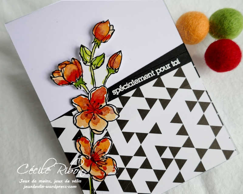 Color Throwdown #596 – jeux de mains, jeux de vélin